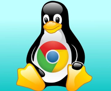 Error en la firma del repositorio de Google para Linux: Solución ...